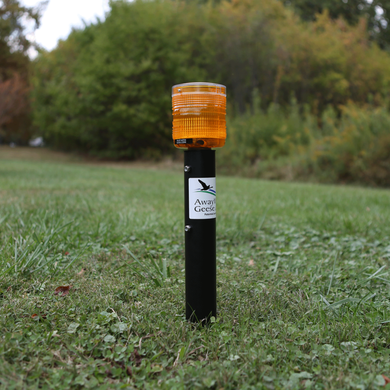 Away With Geese - Canada Geese Deterrents - Away With Geese