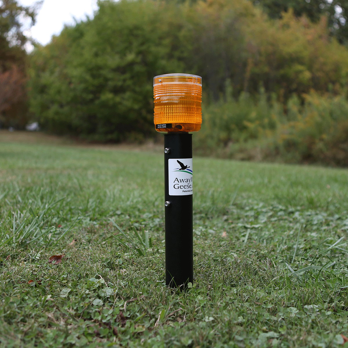 Away With Geese - Canada Geese Deterrents - Away With Geese