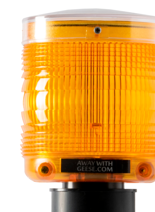 Geese Deterrent Products - Away With Geese