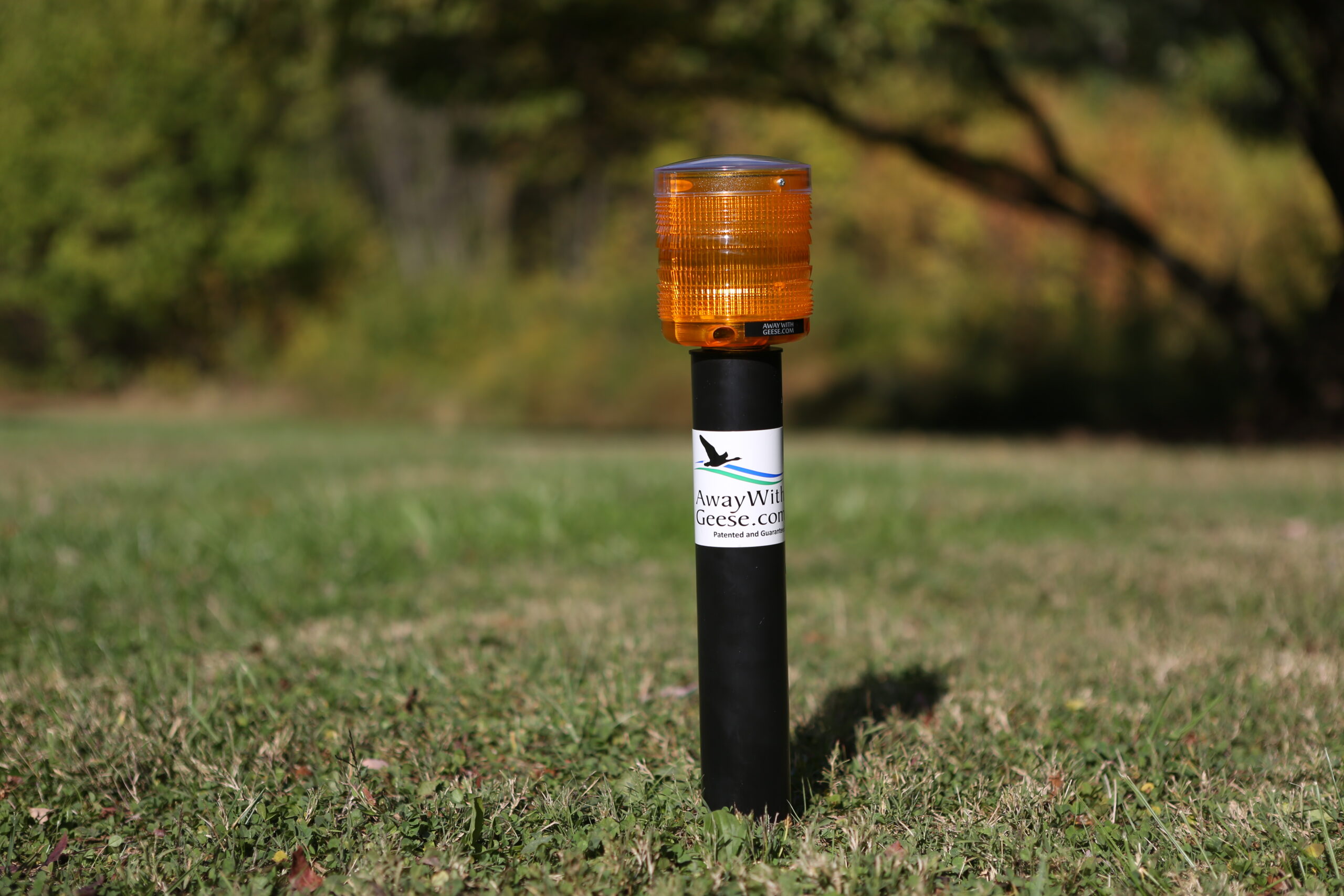 Geese Deterrent Products - Away With Geese