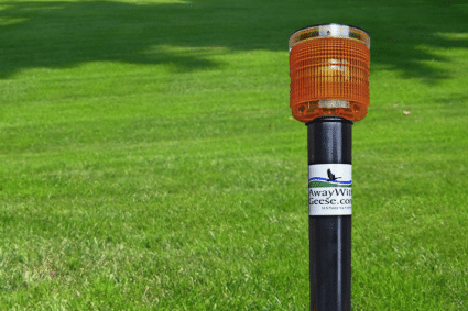Geese Deterrent Products - Away With Geese™