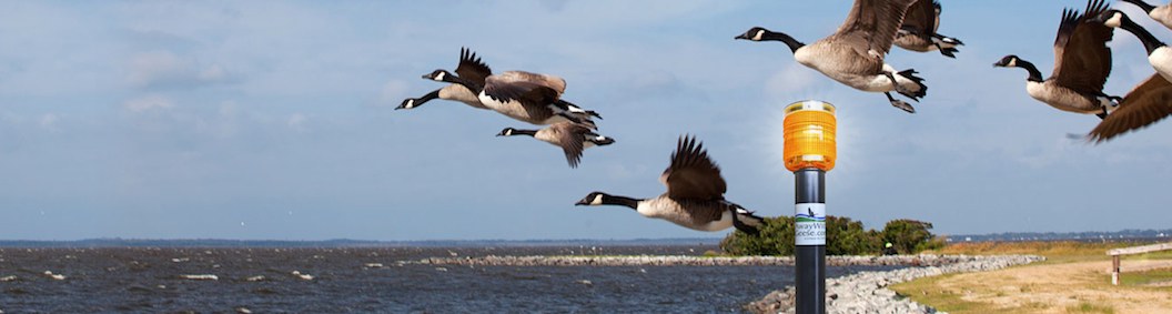 How It Works - Away With Geese™